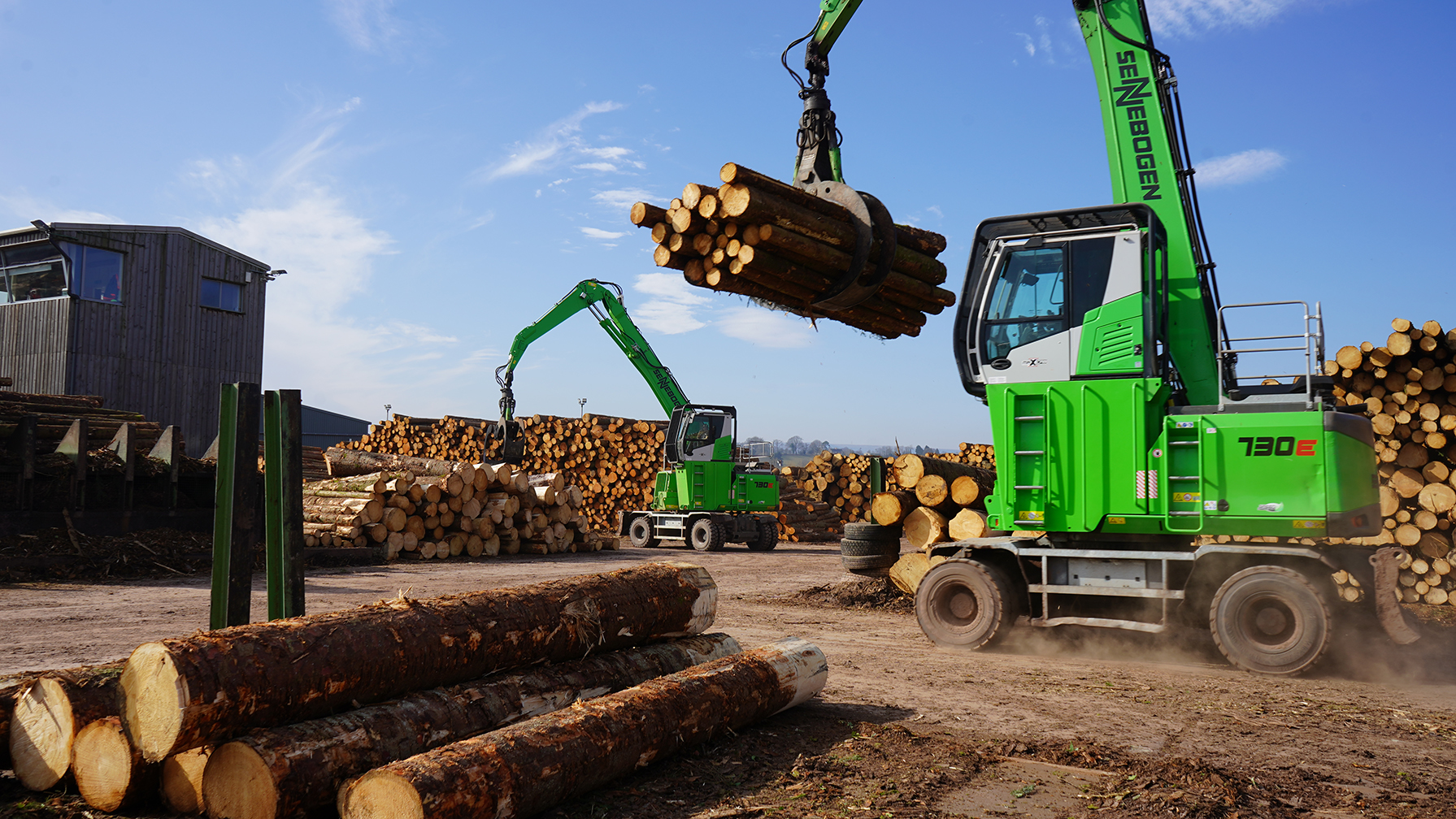Log processing at the sawmill