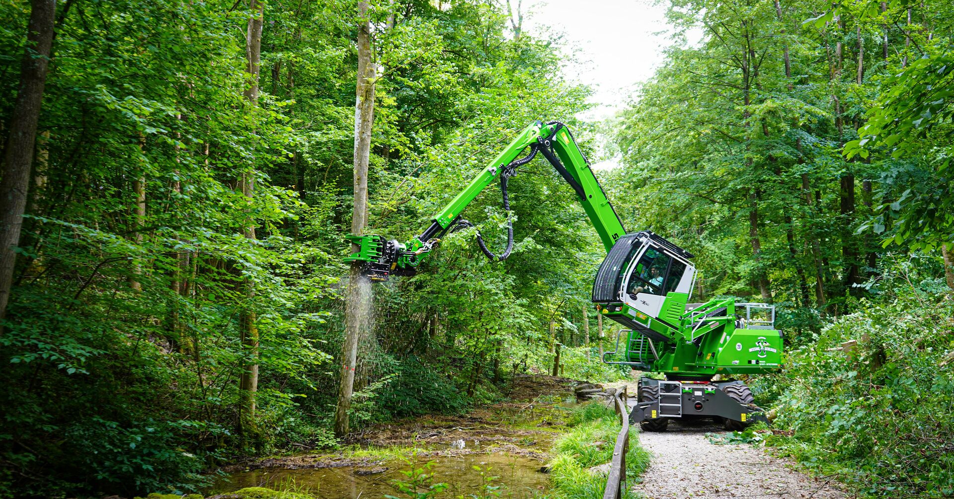 Ash dieback: deadwood removal with tree care handler 718 E
